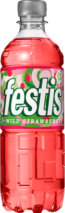 Festis | Carlsberg Sverige